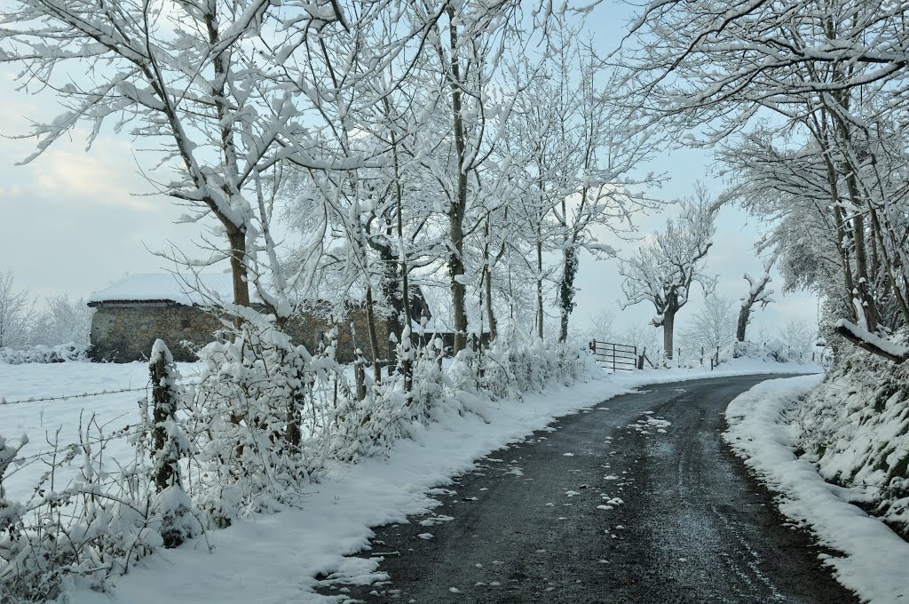 photo paysage enneigé