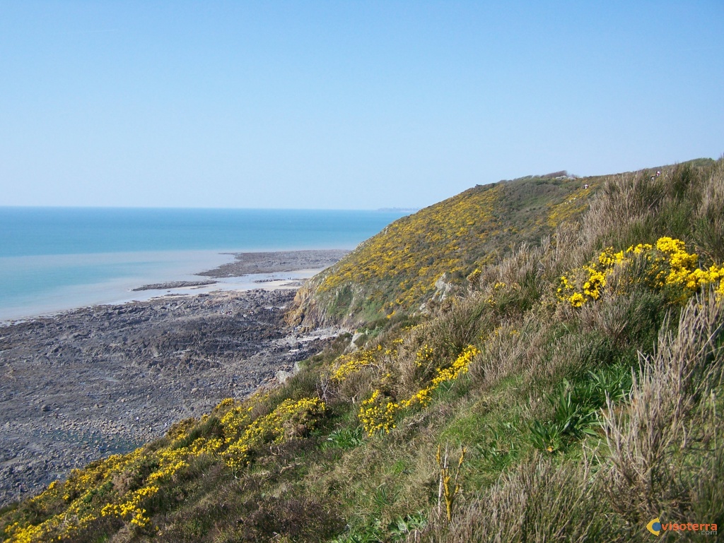 Image paysage bord de mer