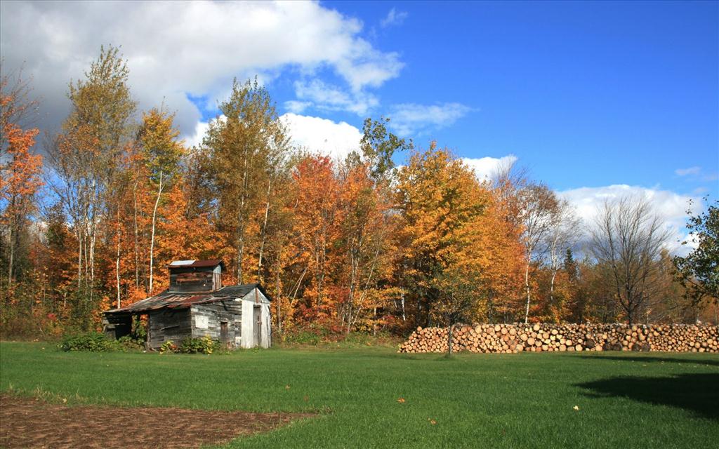 Photo paysage automne québec