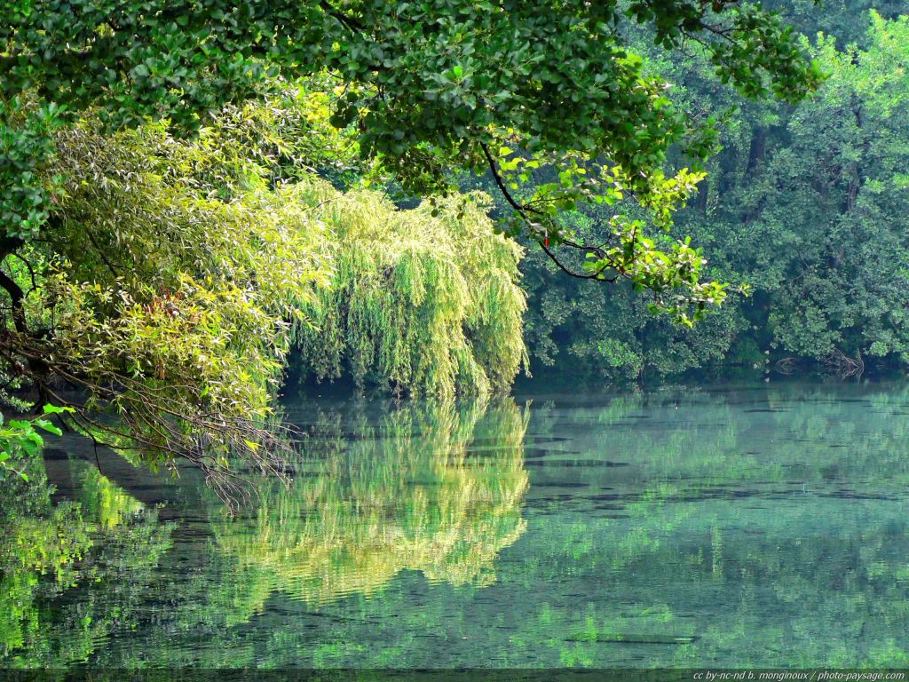 photo paysage riviere #4