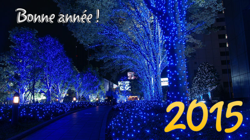 Image paysage bonne annee